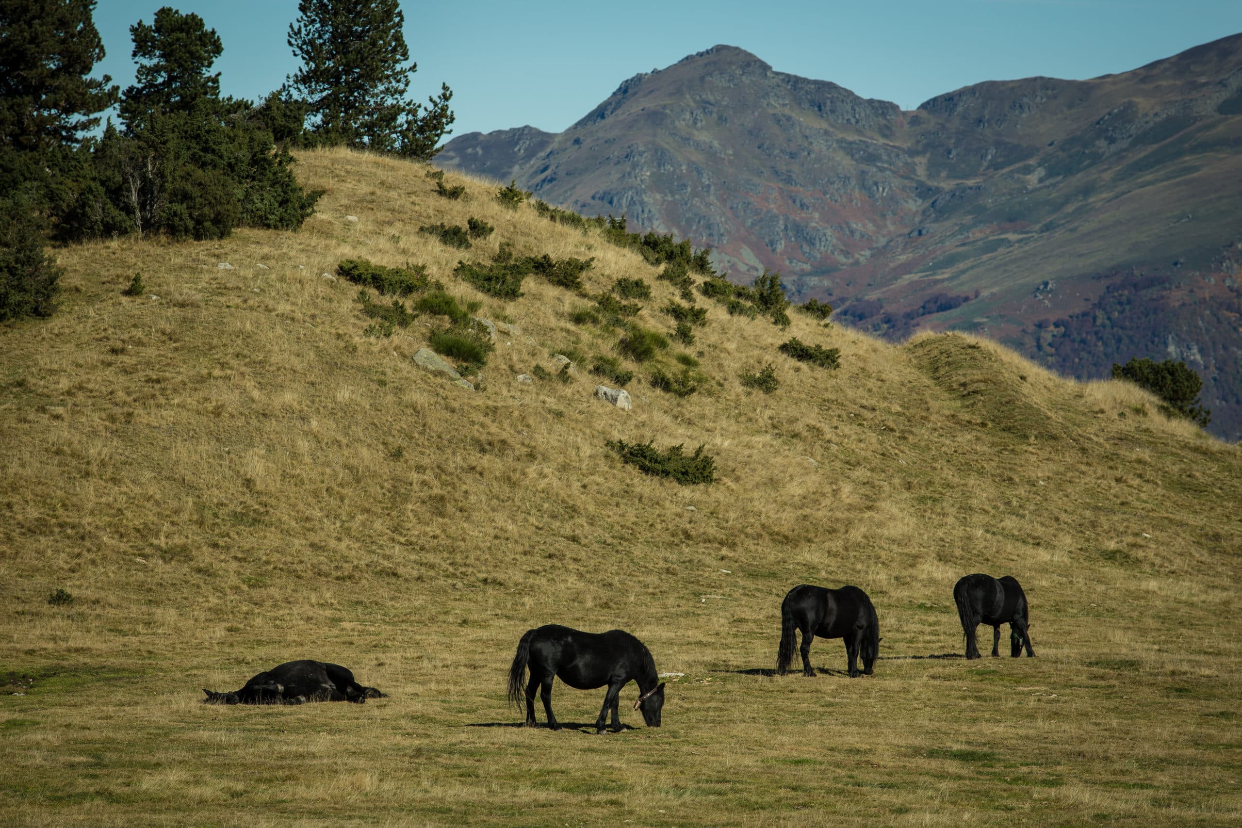 Plateau de beille en vélo | Tourisme en Ariège-Pyrénées